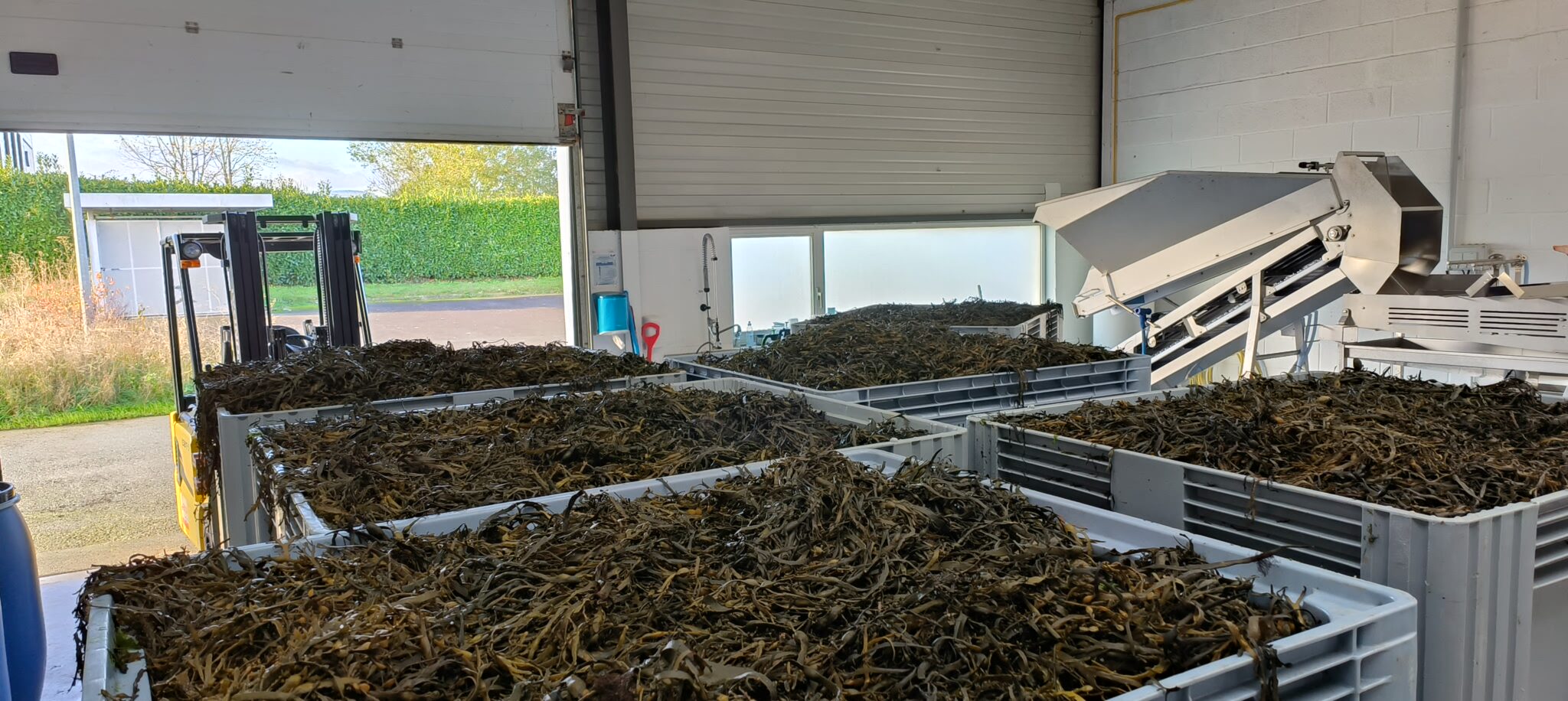 Bienvenue chez Seaweed Concept